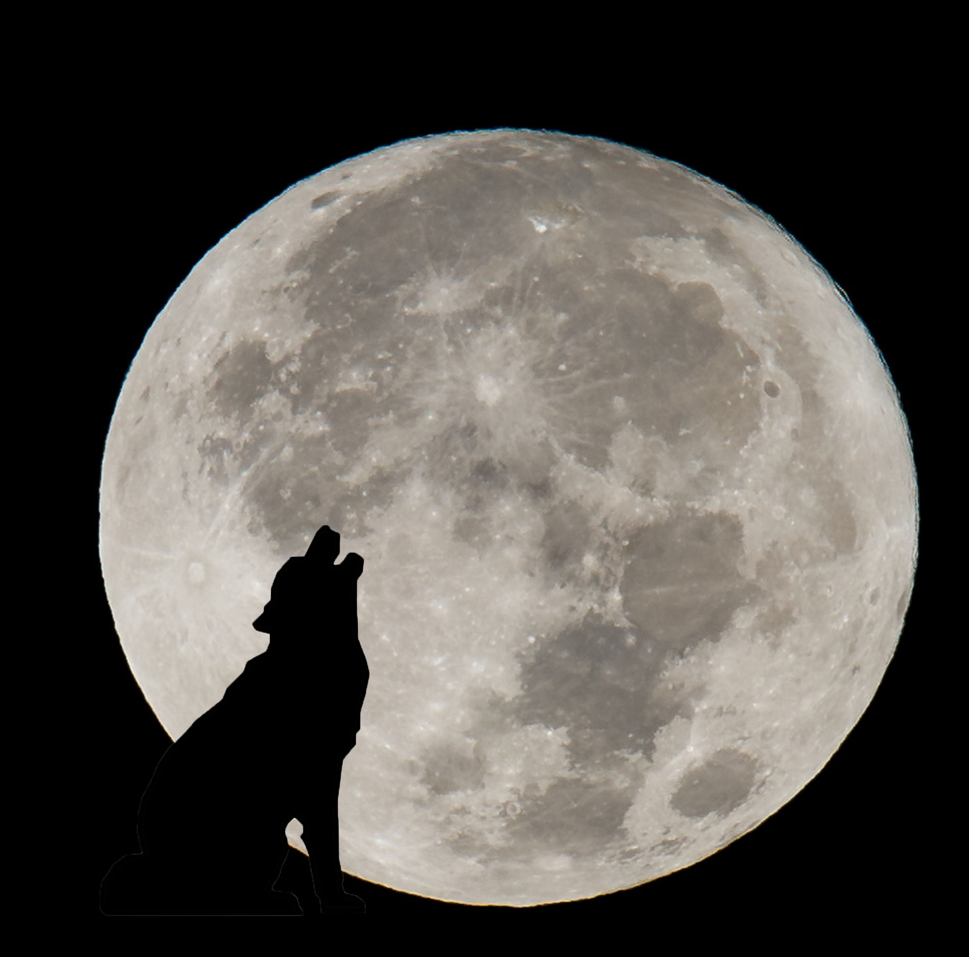 YouTube Lawyer takes Howling at the Moon to a New Level in Epic TDS ...