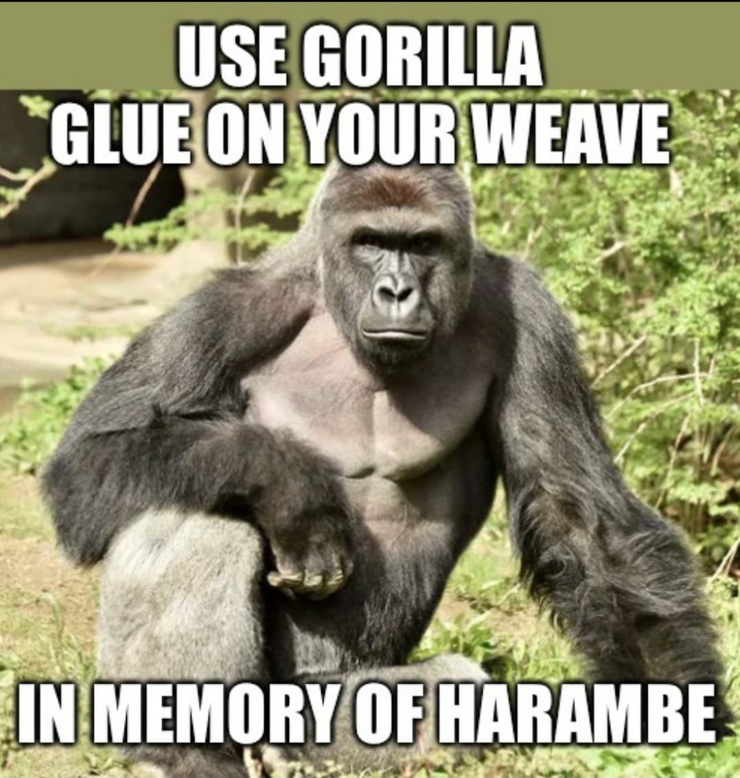 Fashion Innovator to Sue Gorilla Glue Over Misleading Packaging ...