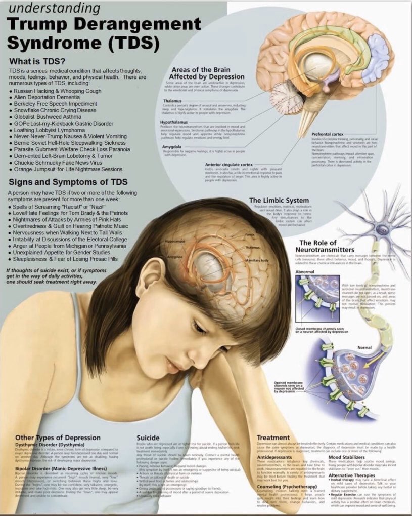 Exploring the TDS Infected Mind’s Game of Deflection – WarOnPress